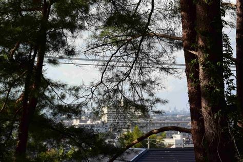 野口雨情と秋葉山 アキハレトロ