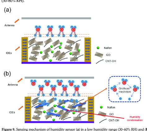 Sensing Mechanism Of Humidity Sensor A In A Low Humidity Range Download Scientific Diagram