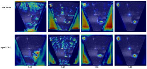 Aquayolo Enhancing Yolov8 For Accurate Underwater Object Detection For
