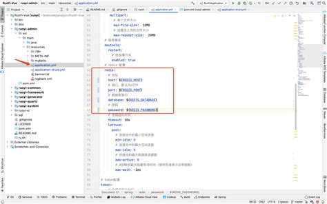 手把手教你docker部署若依项目（后端服务） 若依集成flyway 先执行 csdn博客
