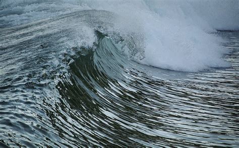 Forrester Zeichnet Varonis Als Führenden Anbieter Von Datensicherheits