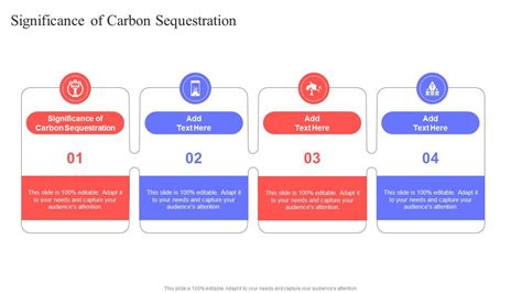 Significance Of Carbon Sequestration Ppt Template Cpp PPT Presentation