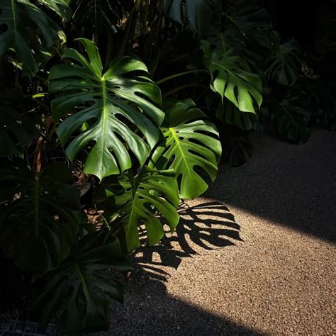 Runway Research Introducing Frames