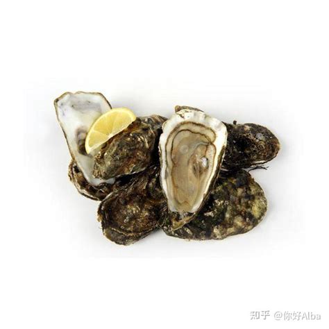 海鲜料理怎么做英国苏格兰海鲜为你提供参考 知乎