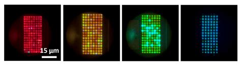 Q Pixel Developed The Worlds Smallest Full Color Microled Pixel And Demonstrated A 10 000 Ppi
