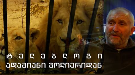 ტელებლოგი ადამიანი ვოლიერიდან Youtube