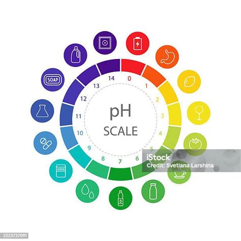 Ph Value Scale Color Chart With Ph Food Level Scale Indicator For Litmus Paper Test Vector