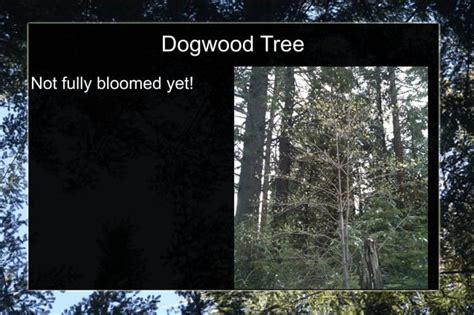 Geol 3 Field Assignment Ppt