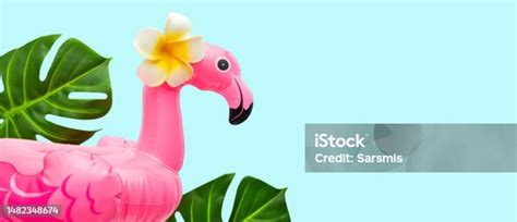 핑크 플라밍고 열대 잎 몬스 테라와 밝은 배경에 난초 꽃 여름 해변 파티 개념입니다 플랫 레이 복사 공간 하와이 문화에 대한 스톡 사진 및 기타 이미지 Istock