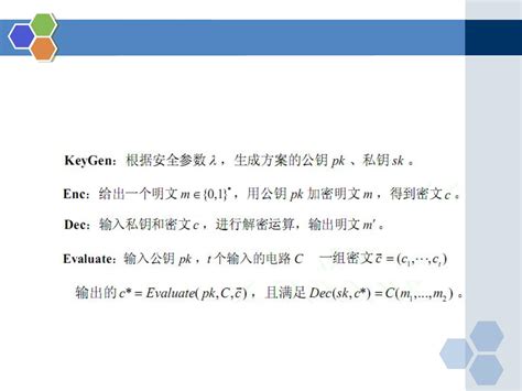 系统讲解同态加密的理论和实践技术 ppt csdn文库