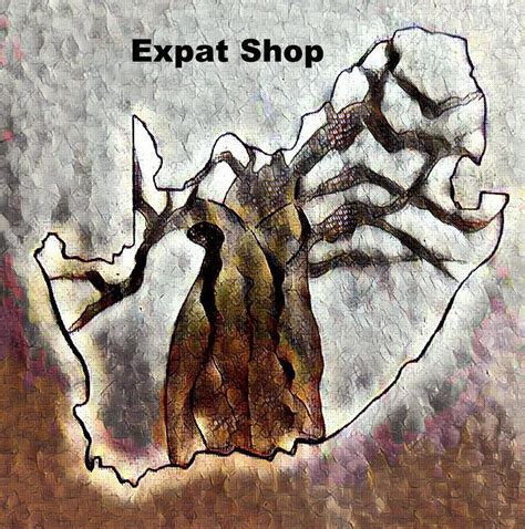 South African Expat Shop Grippon Flu Capsules Expatshop
