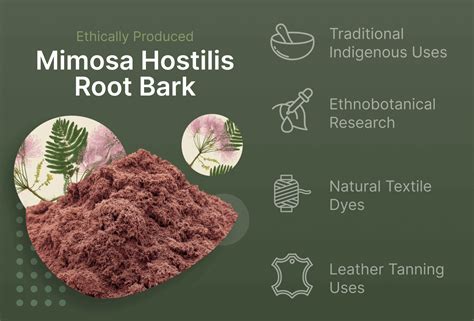 Buy Mimosa Hostilis Root Bark Powder 2kg Buy Mhrb Now