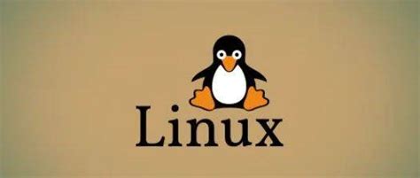 linux命令手册 pdf Linux 资料 算法