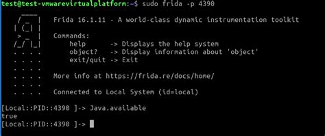 frida on java applications and applets in 2024 hn security