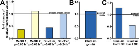 Opp Labelling Assays Can Differentiate Conditions And Strains With