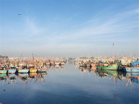 Coastline Of Gujarat Beaches Temples Villages Lighthouses And Ports
