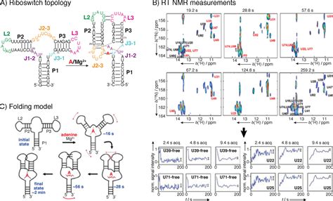 Rna Dynamics By Nmr Spectroscopy Marušič 2019 Chembiochem Wiley