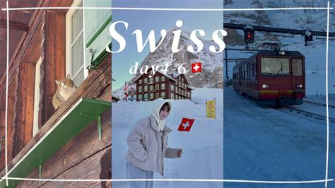 스위스 Vlog🇨🇭day 4 6 융프라우 그린델발트 Youtube