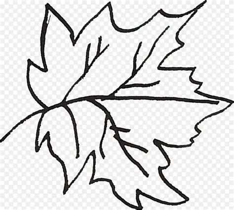 线描树叶PNG图片素材下载 图片编号ygprwabq 免抠素材网