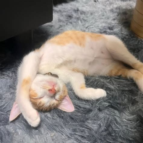 ちゃら ¨̮ෆ Kanami229 • Threads Say More ちゃら ¨̮ෆ Kanami229 • Threads Say More