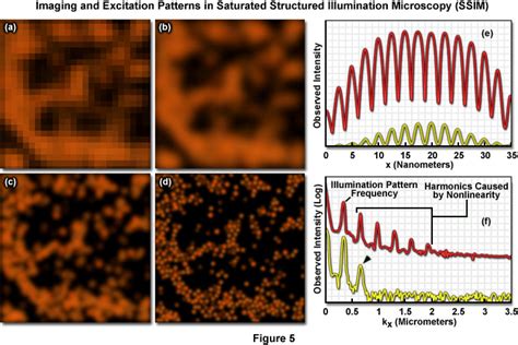 Zeiss Microscopy Online Campus Introduction To Superresolution Microscopy