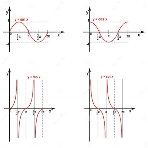 Graphs Of Trigonometric Functions Sine Cosine Tangent And Cotangent Stock Illustration
