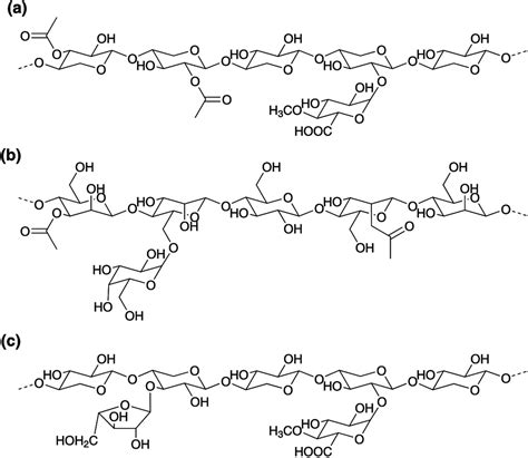Hemicellulose Structure