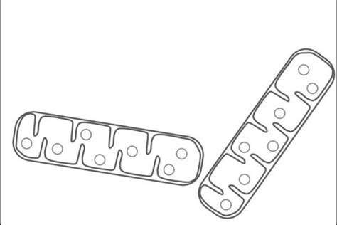 How To Interpret Personal Genetic Testing Reports Psychology Today