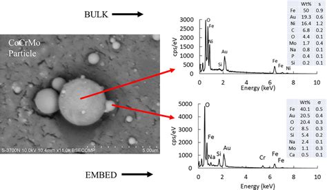 Backscatter Micrograph Eds Spectra And Elemental Wt Breakdown Of
