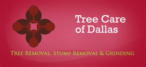 Tree Care Services In Dallas Trimming Pruning Removal Storm Damage