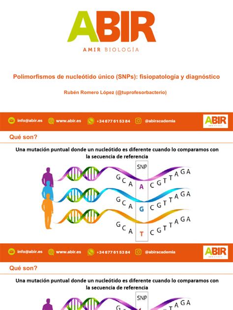 Polimorfismos De Nucleotido Único Abir Pdf