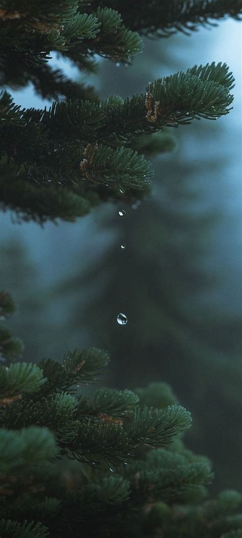 Book Lover ქალსა და მამაკაცს შორის სიყვარულის დროს ყოველთვის დგება ერთი წუთი როდესაც გრძნობა