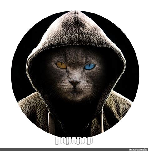Создать мем кот в капюшоне с надписью крутой кот в капюшоне крутой обой Картинки Meme
