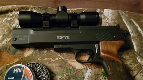 Weihrauch Hw75 Review🎯 Youtube