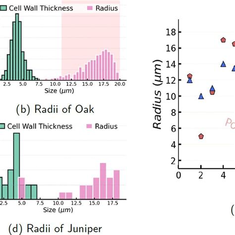Predictions Of Morphology And Effective Refractive Index A Predicted
