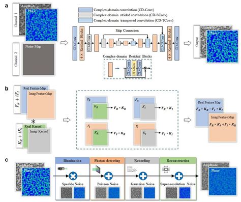 The Architecture Of The Reported Ci Cdnet A Is The Complex Domain Download Scientific