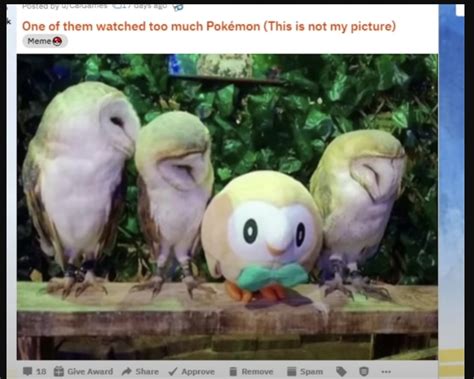 Pokemon Meme Subido Por Daviddonley Memedroid