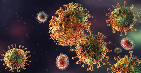Virology Assay Services BioAgilytix
