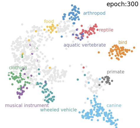 Self Supervised Vision Transformers DINO Object Recognition Lecture