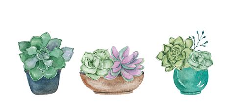 냄비에 다육 식물이있는 수채화 손으로 그린 일러스트 세트 직물 엽서 결혼식 또는 인사말 카드 책 포스터 티셔츠 배너 엠블럼 로고에 대한 수채화 그래픽 그림 격리된 개체입니다