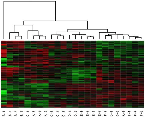 Heatmap And Hierarchical Clustering Of Kinome Microarray Profiles From