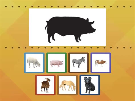 Домашние животные Найди пару