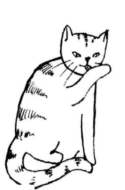 Fucked On Being Sexually Dysfunctional In Sex Positive Queer Scenes