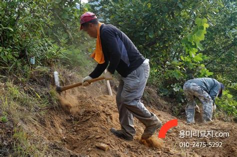 묘지 사초작업잔디공사 잔디입히기은 작은 산소라도 곡괭이로 모든 부분을 깊이 일구어 정성을 들입니다 작업사례 용미리묘지 공사관리상담소