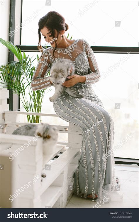 Sexy Beautiful Girl Window Light Stock Photo Shutterstock