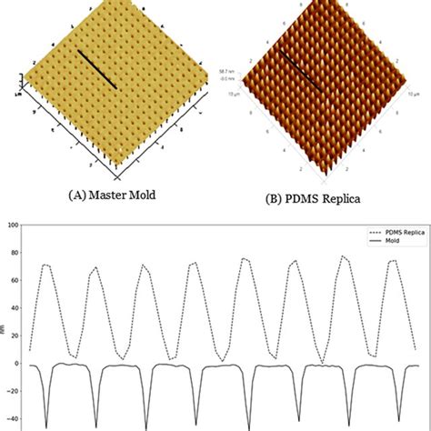 A Pdms Monomer And B Pdms Substrate With Dimensions Of ° 1000° Download Scientific