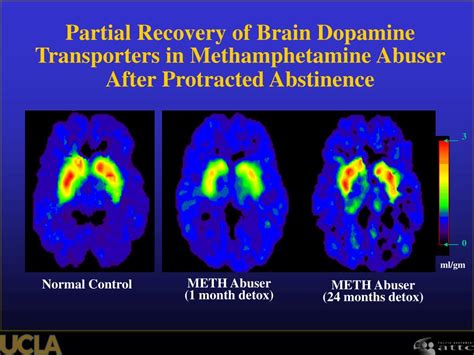 Ppt Evidence Based Practices An Overview Powerpoint Presentation Free Download Id 163726