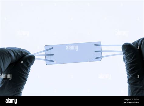 Organ On Chip OOC And Lab On Chip LOC Microfluidic Device Chip That Simulates Biological