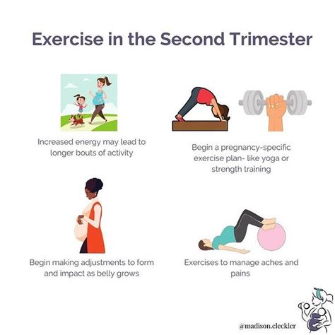 Second Trimester Exercise Guide