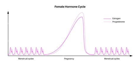 Female Hormone Cycle Chart